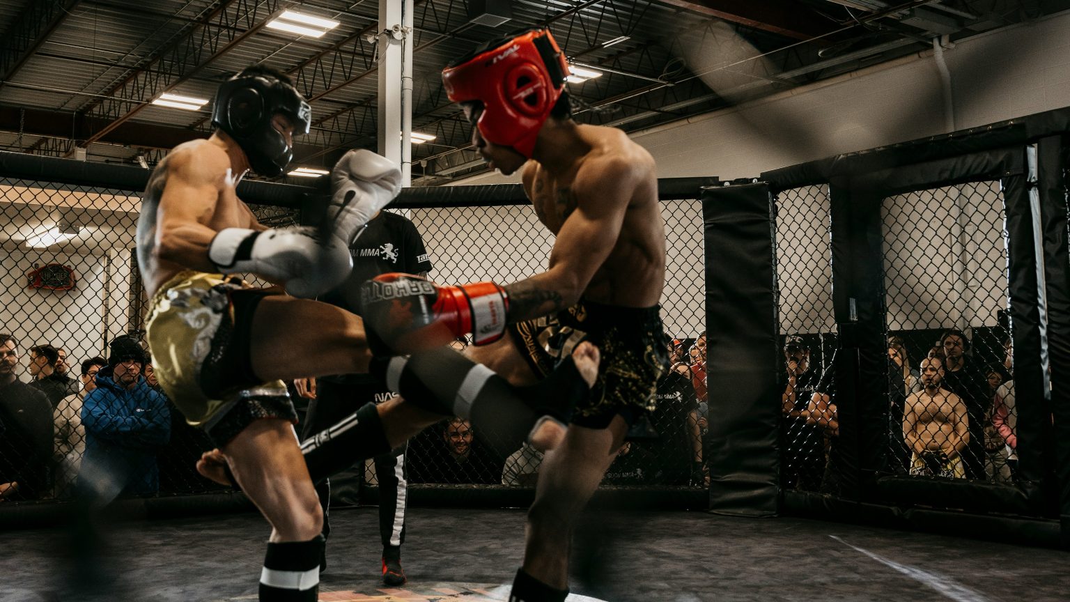 Alex Pereira Breaks Silence on UFC 313 Loss & Injury Struggles - FIGHTCORE